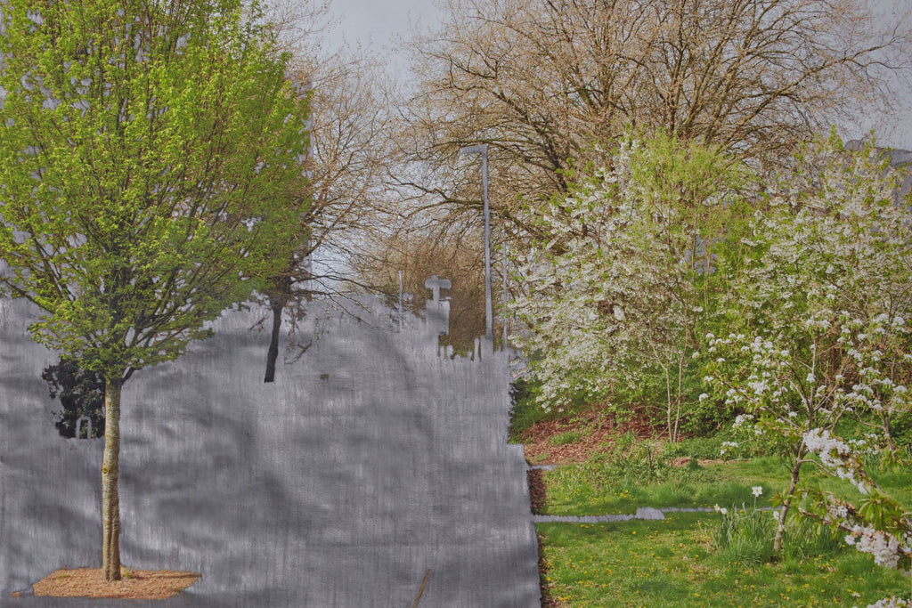 Hulme Habitats - with Emma Coop, Richard Davis and Lucy Marshall